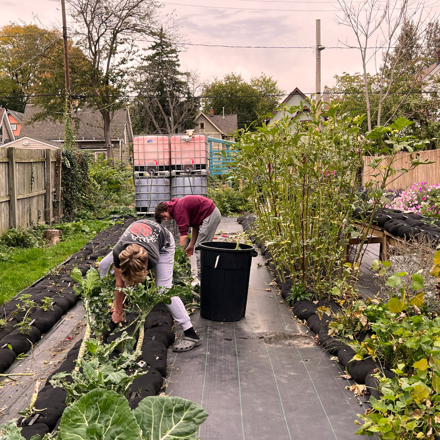 Mejor Via Foundation – A Better Way